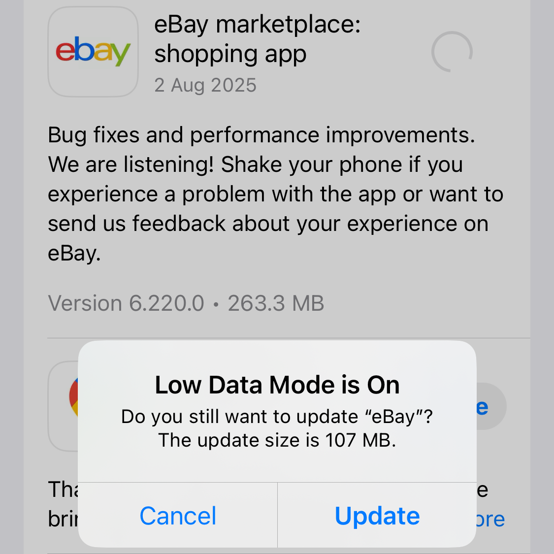 iOS Low Data Mode reveals true app update sizes ⌘I Get Info